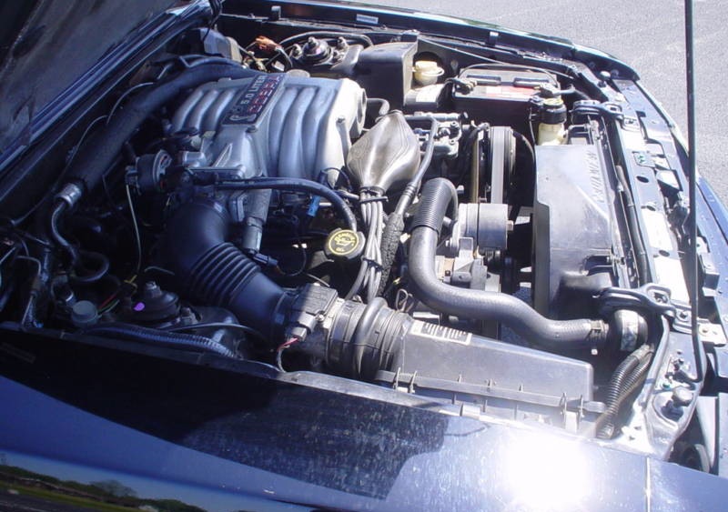 Black 1993 Ford Mustang SVT Cobra Hatchback